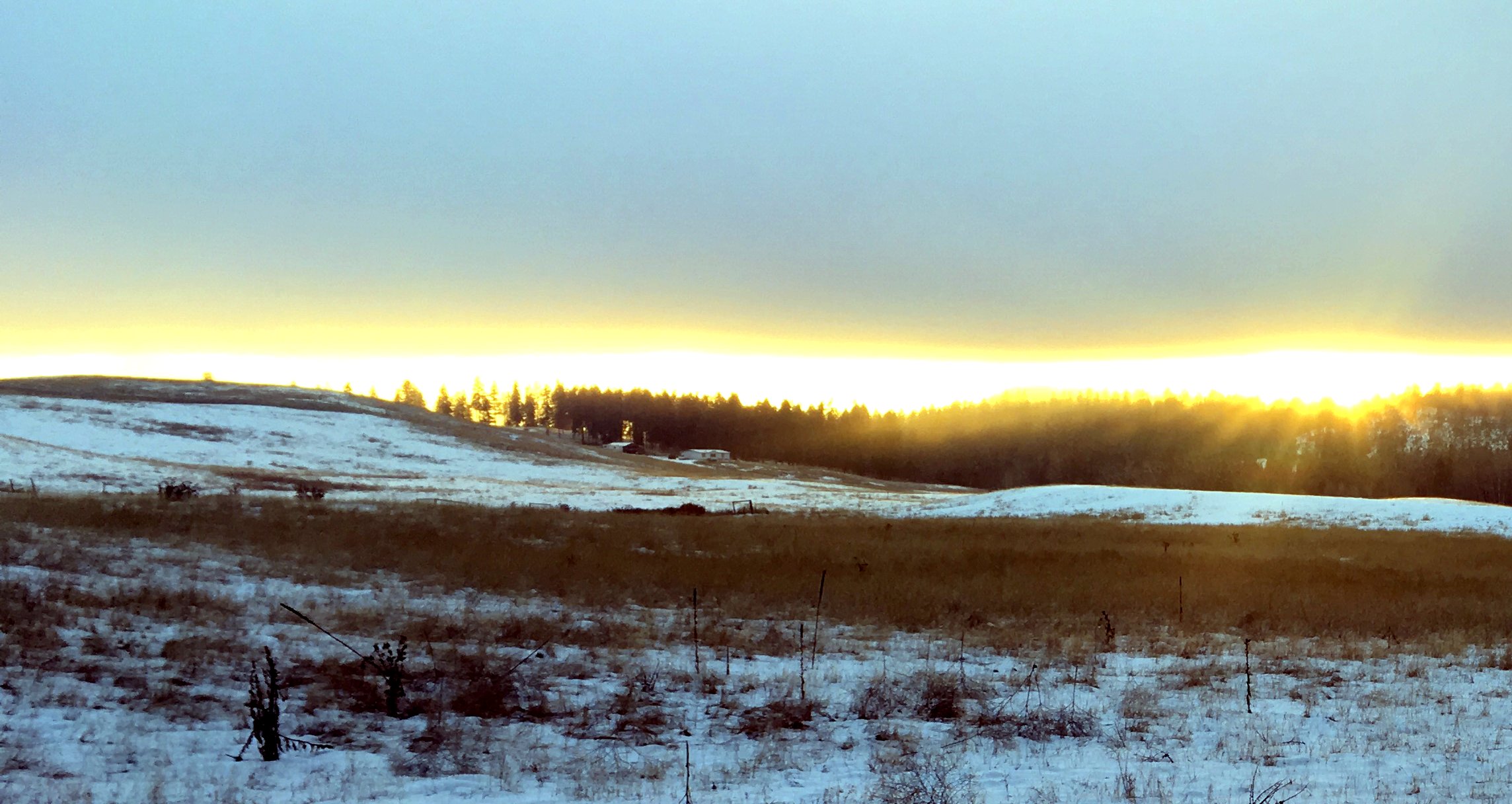 Vitamin D for Alzheimer’s disease? - Schrag Laboratory